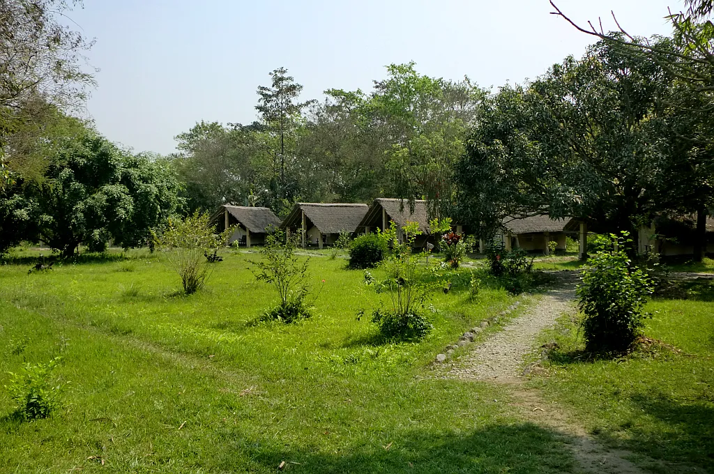 Explore Koshi Tappu Wildlife Reserve | Safari Experience