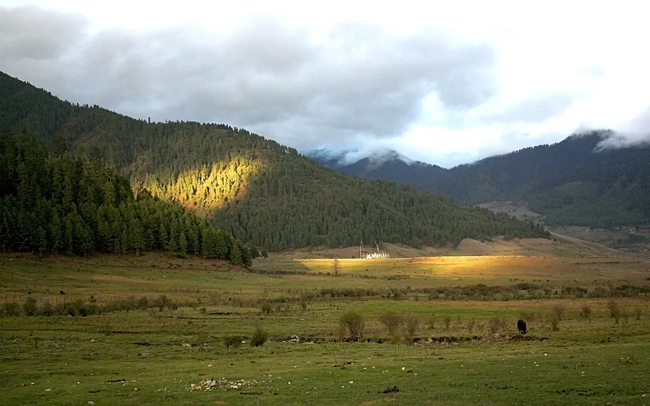 Phobjikha Valley Travel Guide