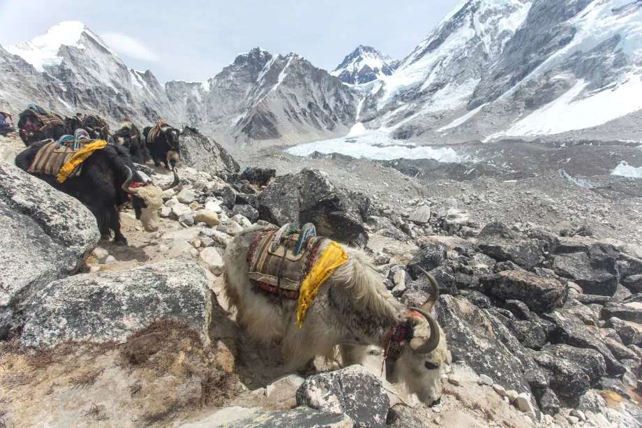 EBC vs ABC Trekking Cost, Map and Guide 2026-2027